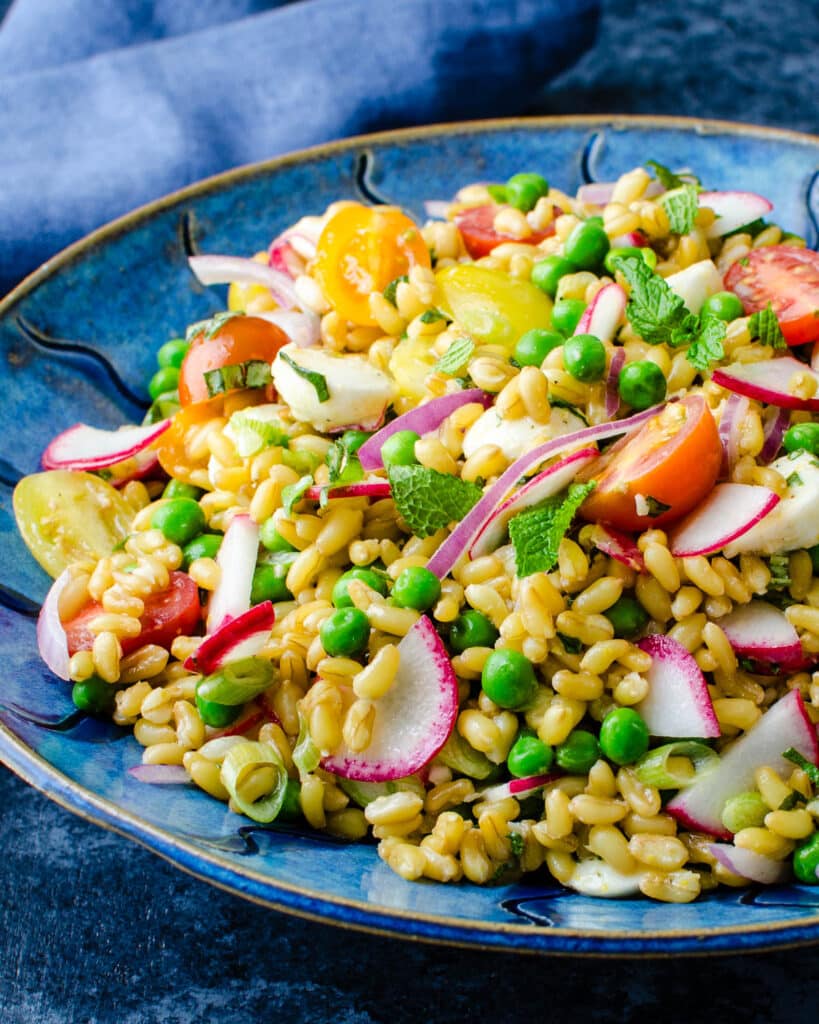 Ancient Grains Salad - Garlic & Zest