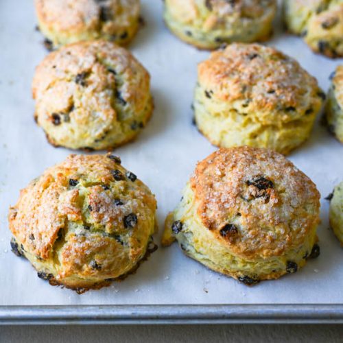 Orange Currant Breakfast Scones - Garlic & Zest
