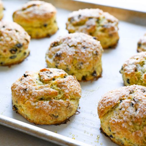 Orange Currant Breakfast Scones - Garlic & Zest