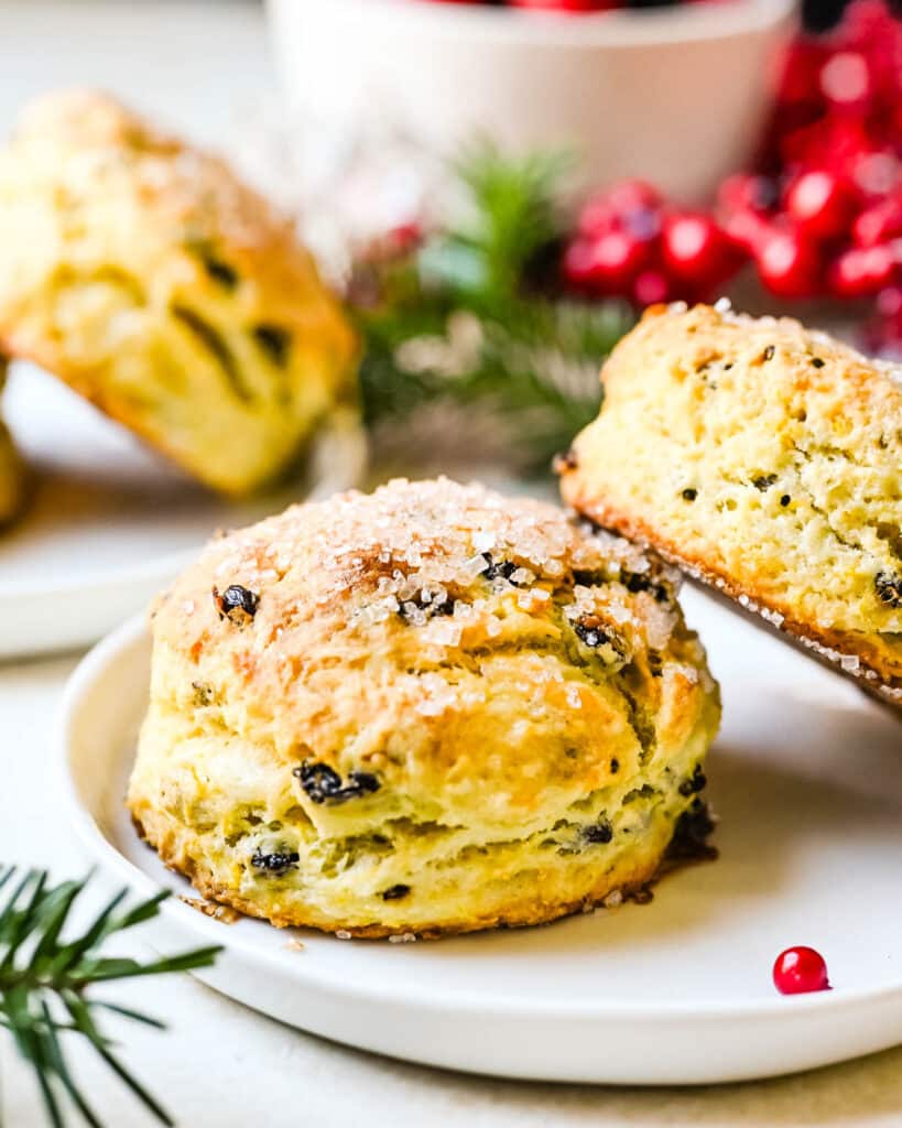 Orange Currant Breakfast Scones - Garlic & Zest
