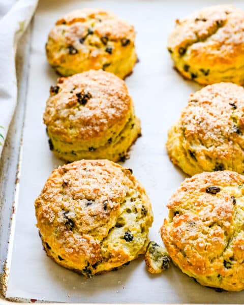 Orange Currant Breakfast Scones - Garlic & Zest