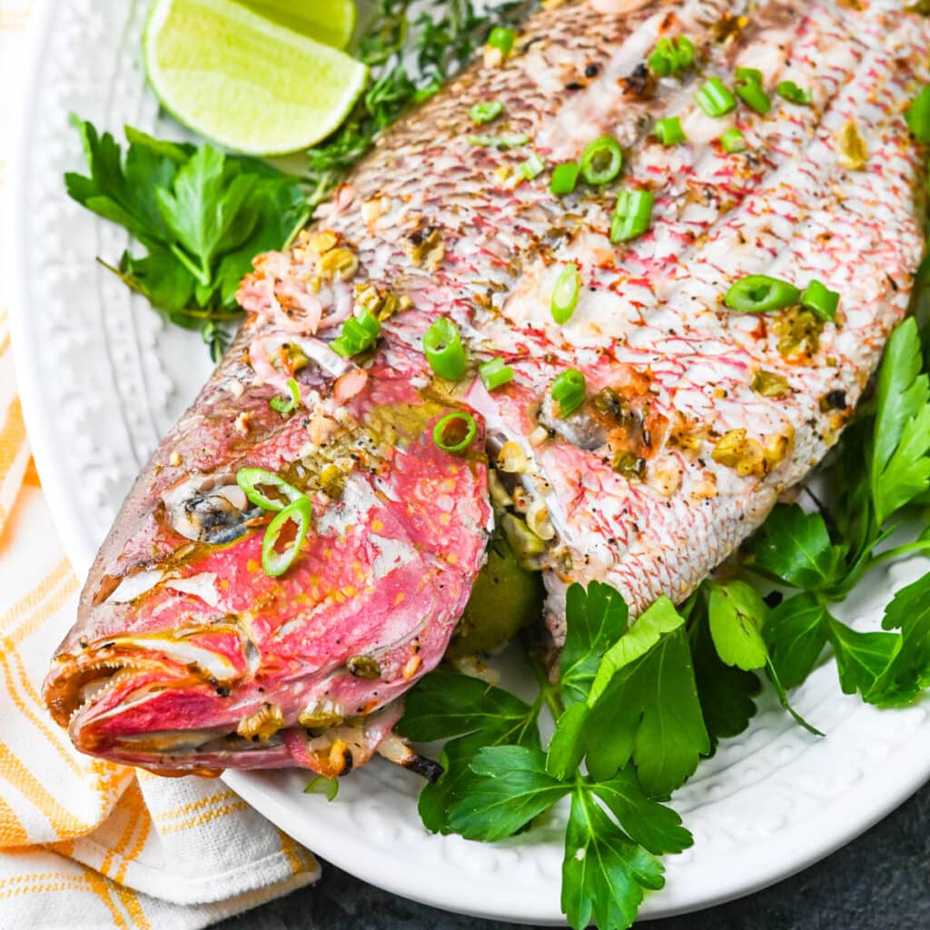 Caribbean Grilled Yellowtail Snapper - Garlic & Zest