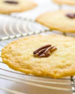 Thin & Crispy Sugar Cookies - Garlic & Zest