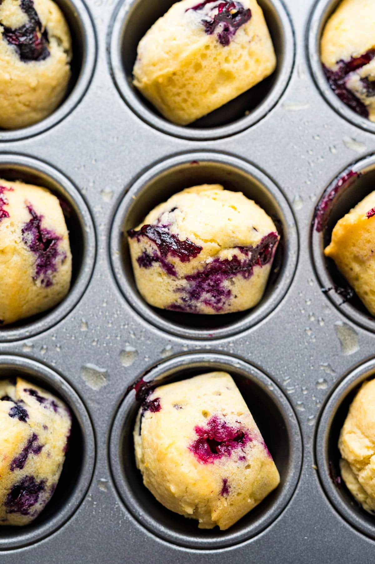 Mini Blueberry Corn Muffins - Garlic & Zest