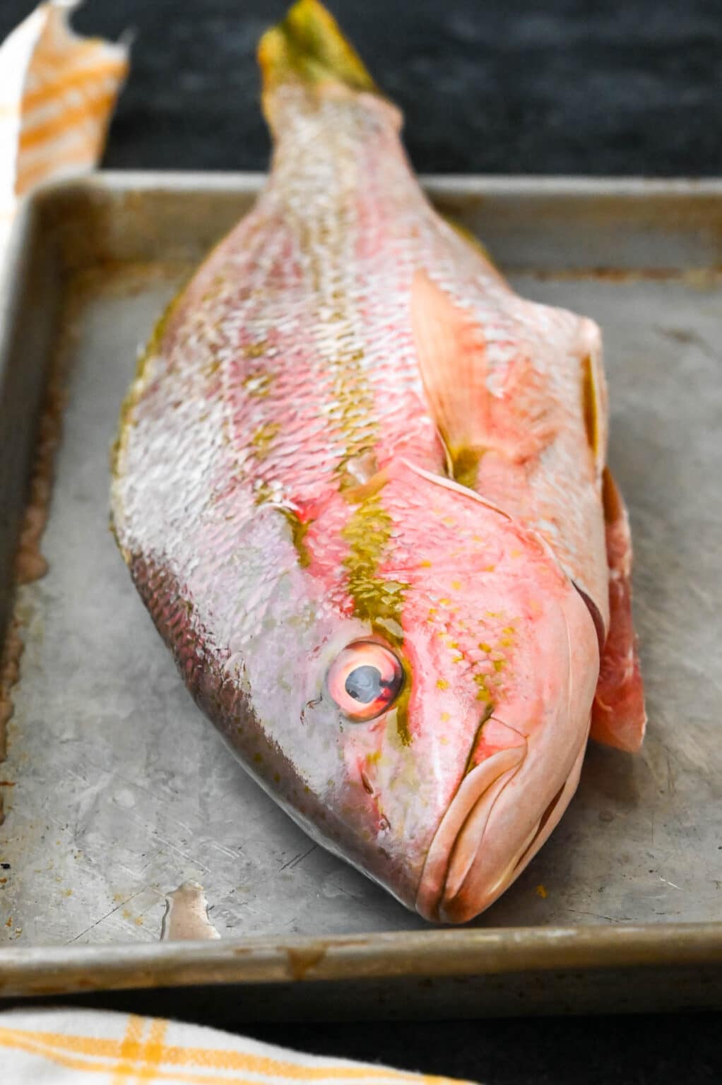 Caribbean Grilled Yellowtail Snapper - Garlic & Zest
