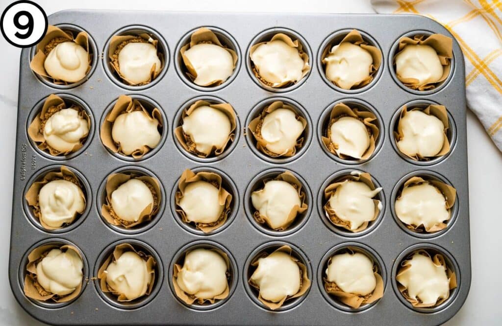 Mini Cheesecake Bites (Easy Bite-Size Cheesecake Recipe) - Garlic & Zest