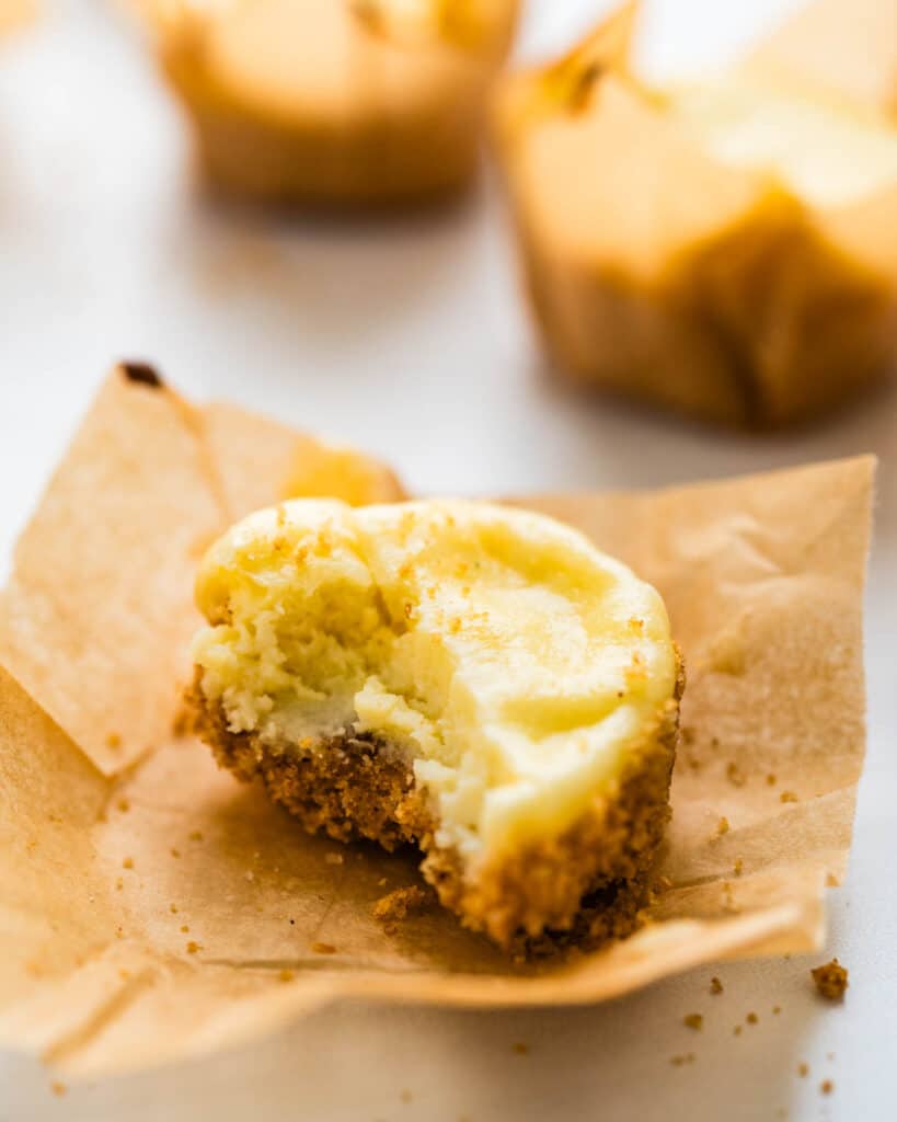 Mini Cheesecake Bites (Easy Bite-Size Cheesecake Recipe) - Garlic & Zest