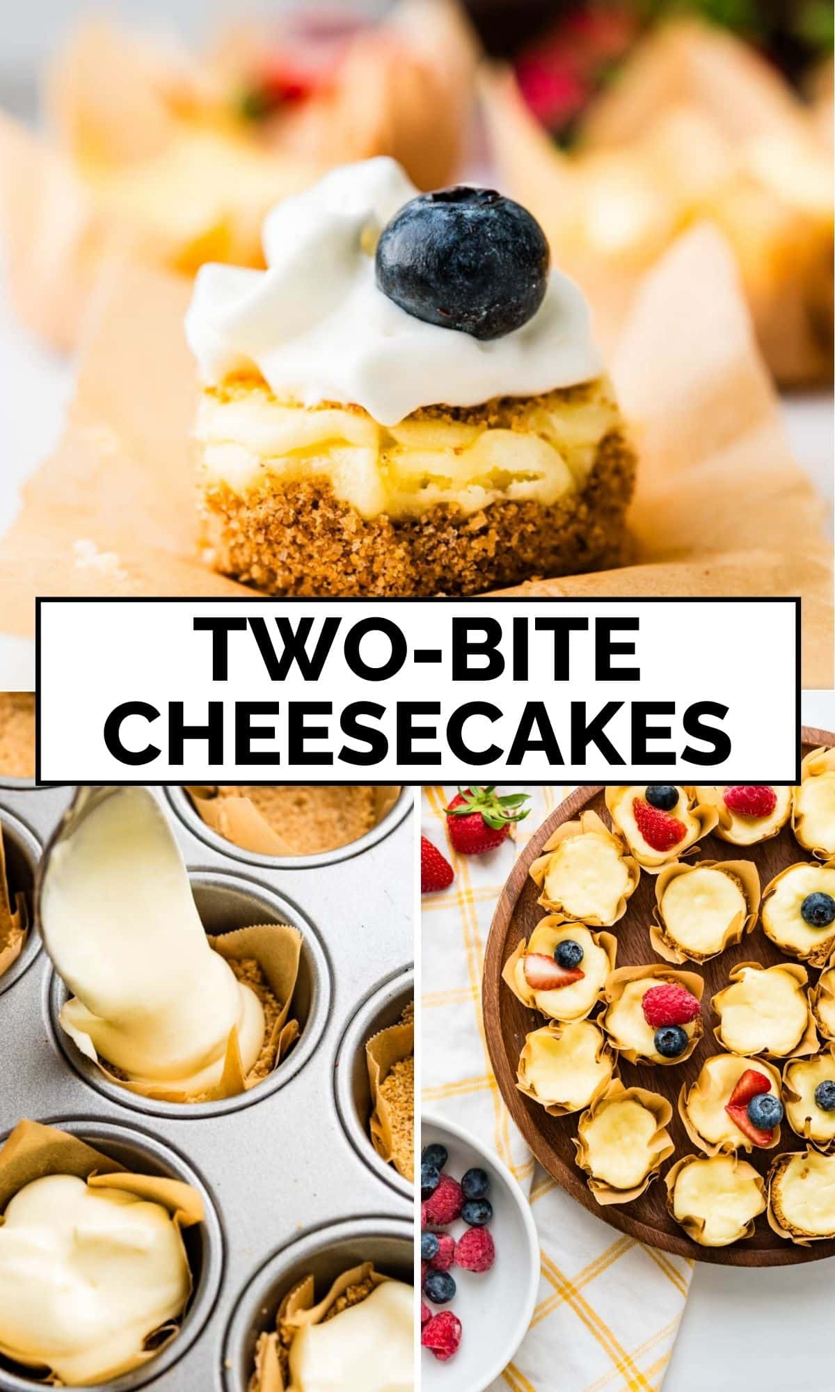 Mini Cheesecake Bites (Easy Bite-Size Cheesecake Recipe) - Garlic & Zest